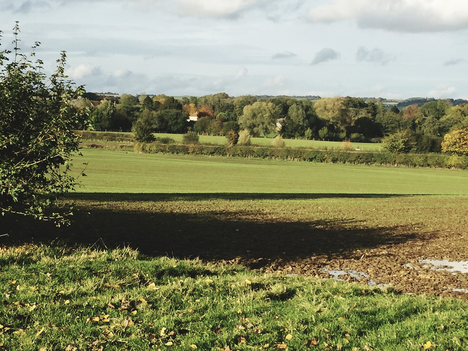 Land wanted | Arazu Construction